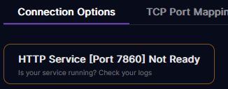 Running on local URL but can't access from outside - RunPod