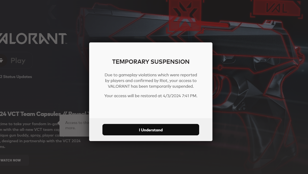 temp suspension - VALORANT