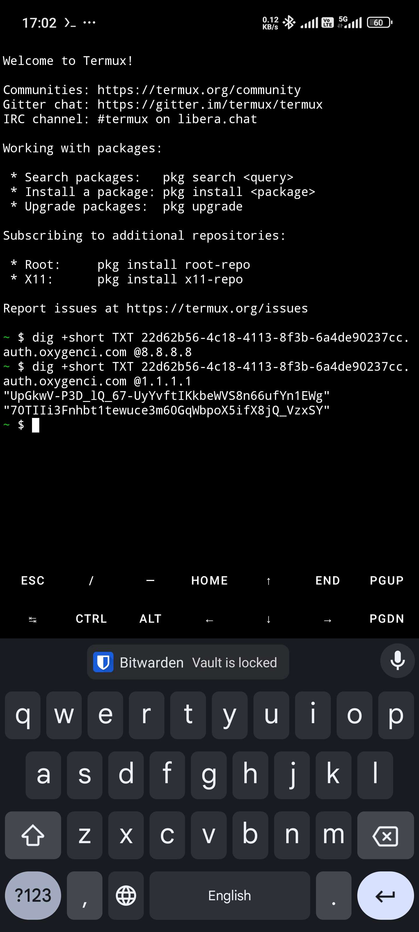 TXT DNS lookup only works with cloudflare (1.1.1.1), while the other like 8.8.8.8 doesn't work ...